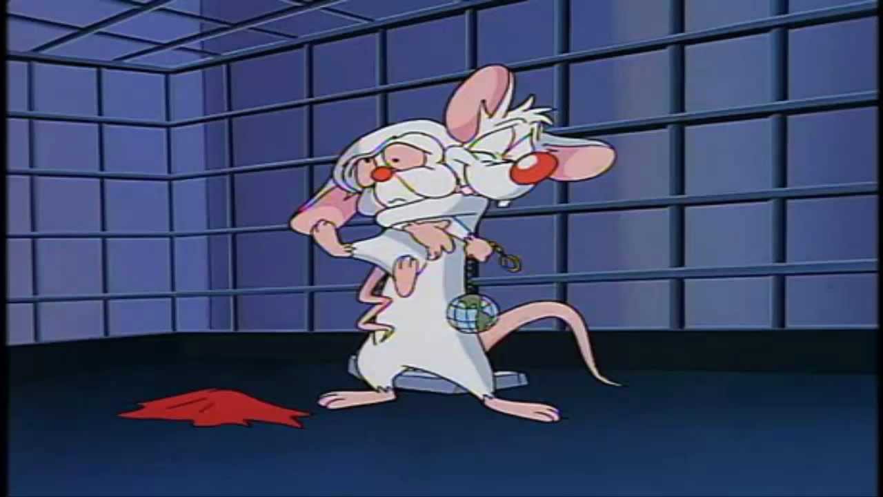 Pinky e Cérebro